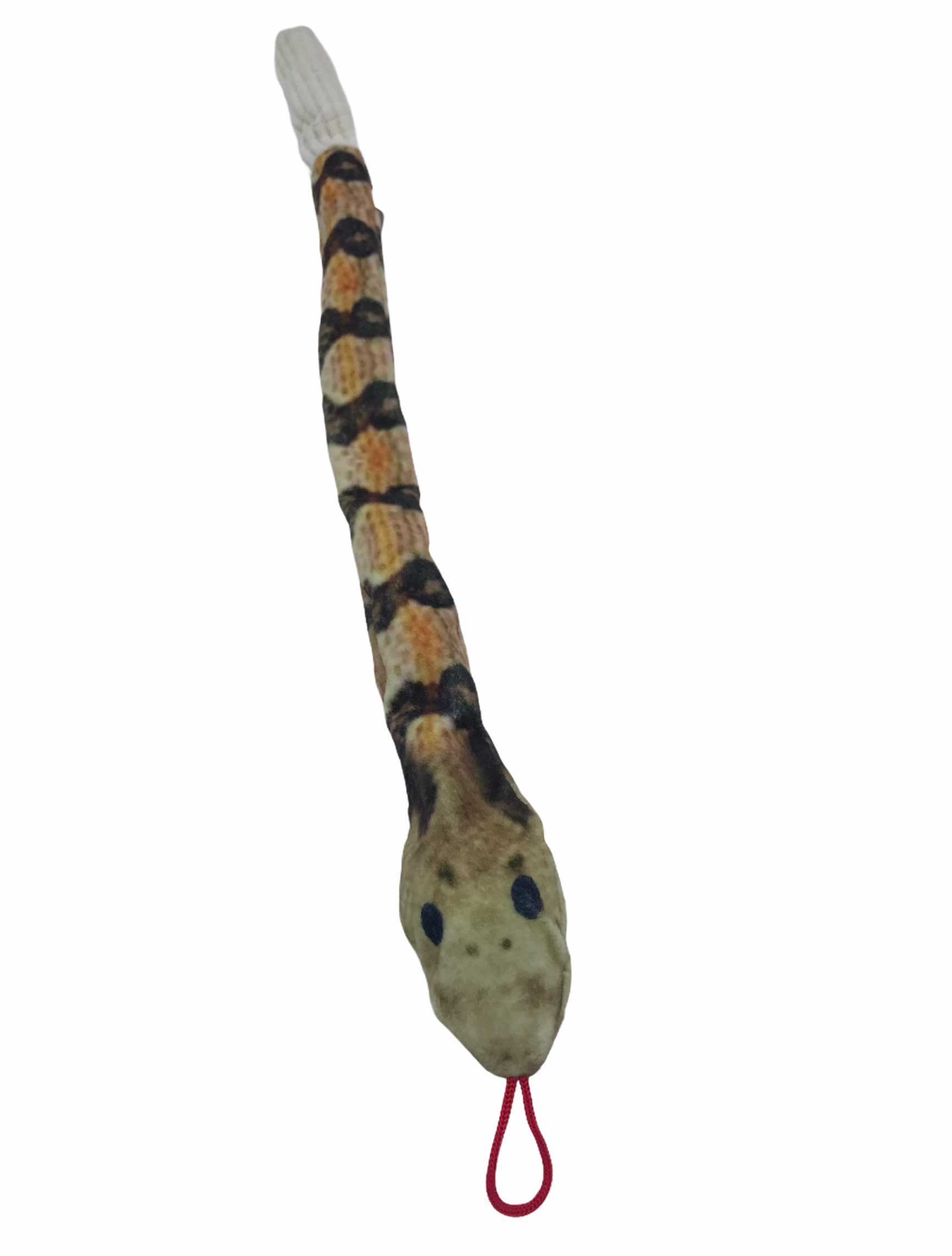 Rattle Snake - Dog Toy! – The Tail Wags